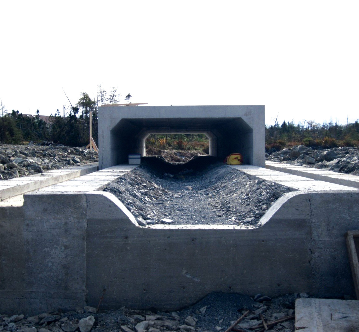 Diamond Marsh | Pinnacle Engineering | St. John's | Newfoundland ...